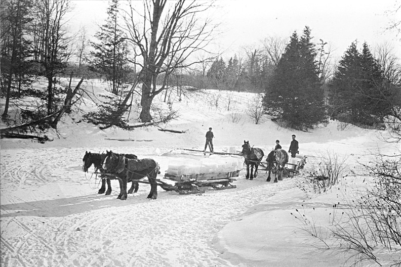All Things Harvest Winter's Harvest--Ice Harvesting: A Winter's Crop